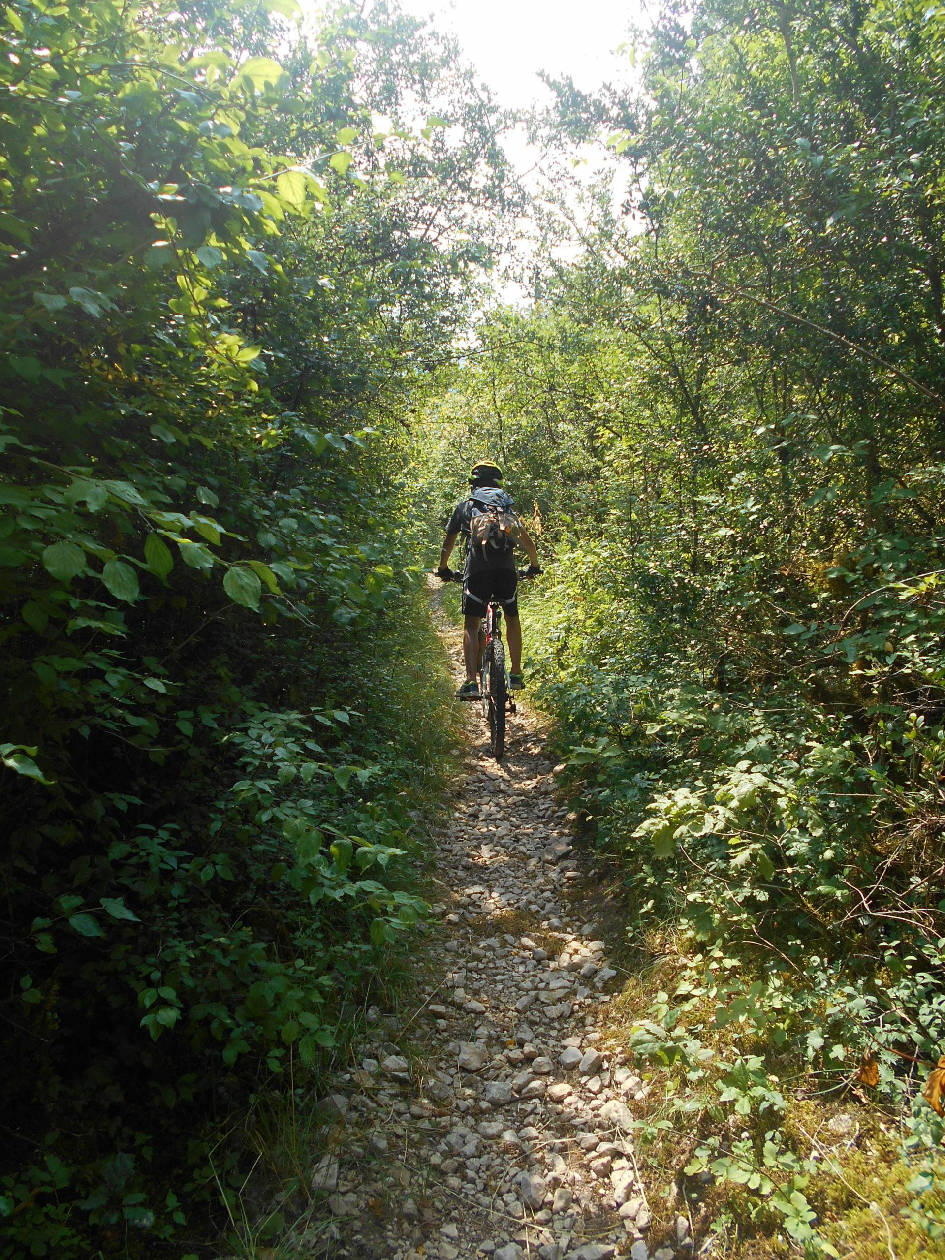 VTT - cours, randonnées - Velovitamine.fr